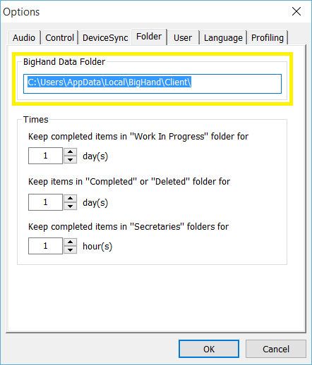 BigHand voice client Disconnected